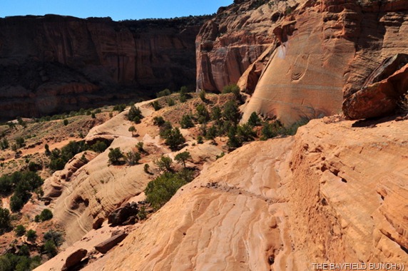 TRAVEL WITH THE BAYFIELD BUNCH:)): HIKING THE ‘WHITEHOUSE RUINS’ TRAIL ...